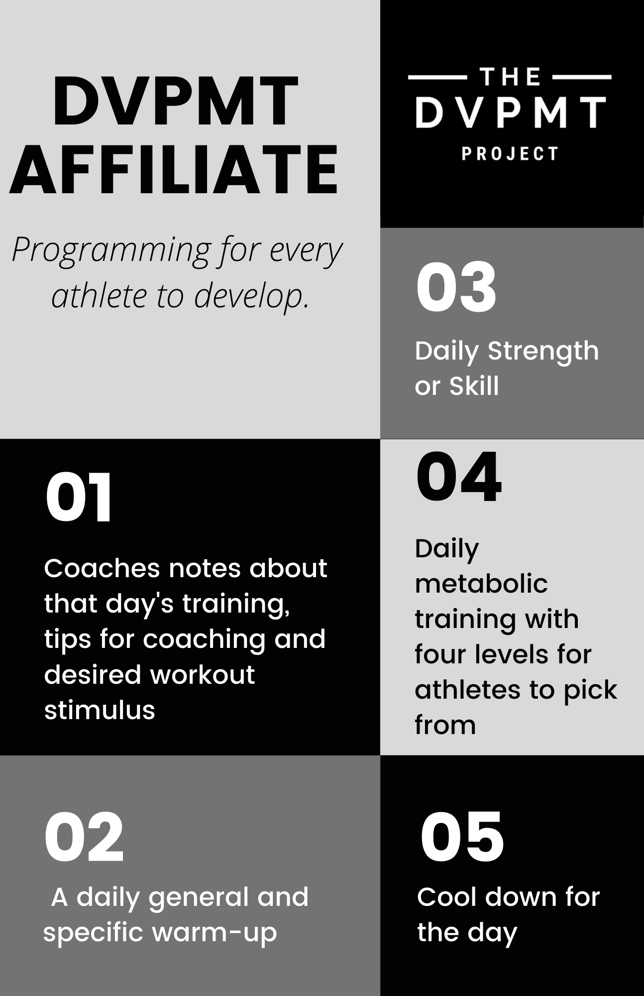 DVPMT Affiliate – DVPMT Project